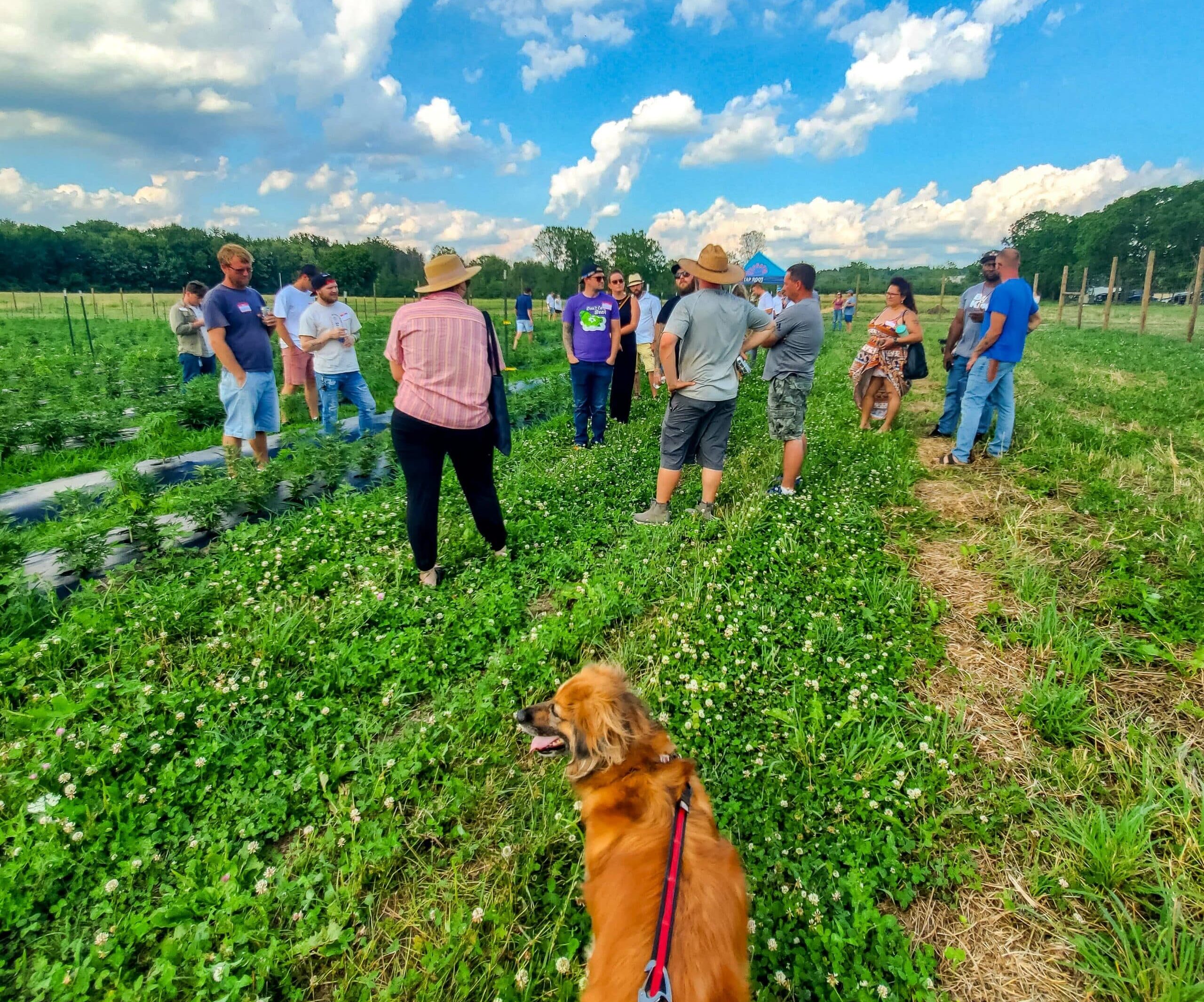Tap Root Fields Farm Tour – Snowbelt Cannabis